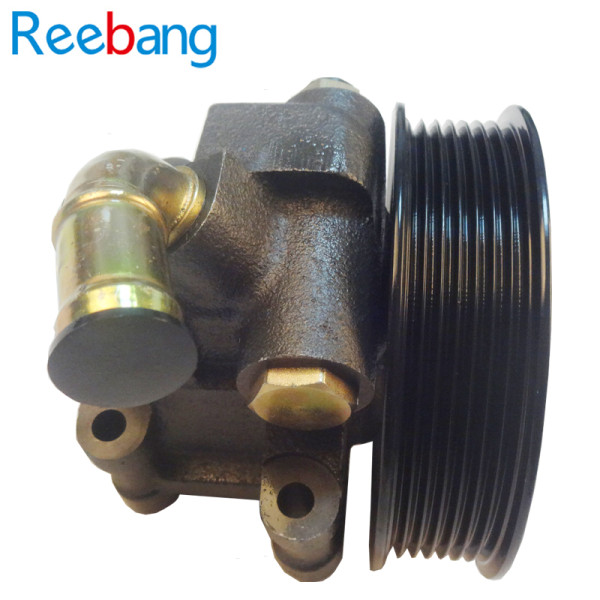 Reebang Power Steering Pump For Ford Transit 6C113A696AJ - Reebang