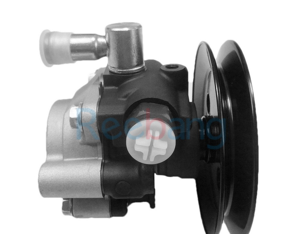 Reebang for Nissan Infiniti power steering pump QX40 JR50 VQ35 49110 ...