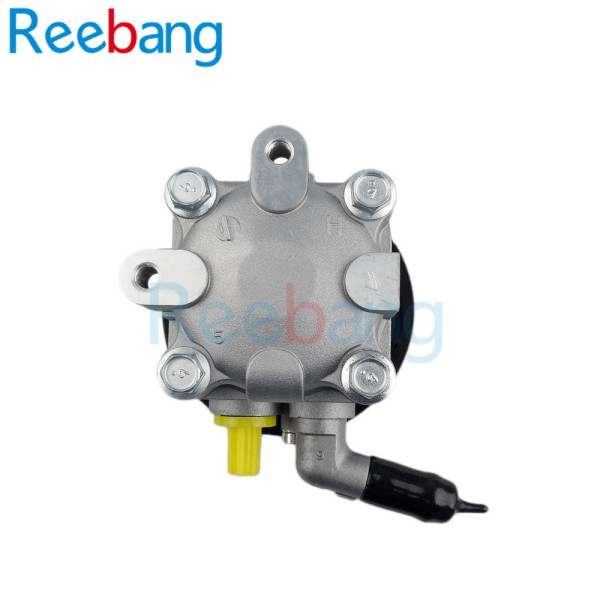 Reebang Power Steering Pump For Nissan Teana J32 Z51 4PK 49110-JN30A ...
